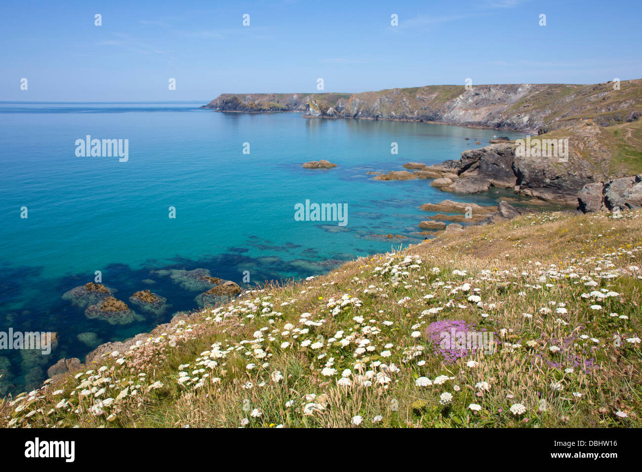 Caerthillian; Lizard; Cornwall; UK Stock Photo - Alamy