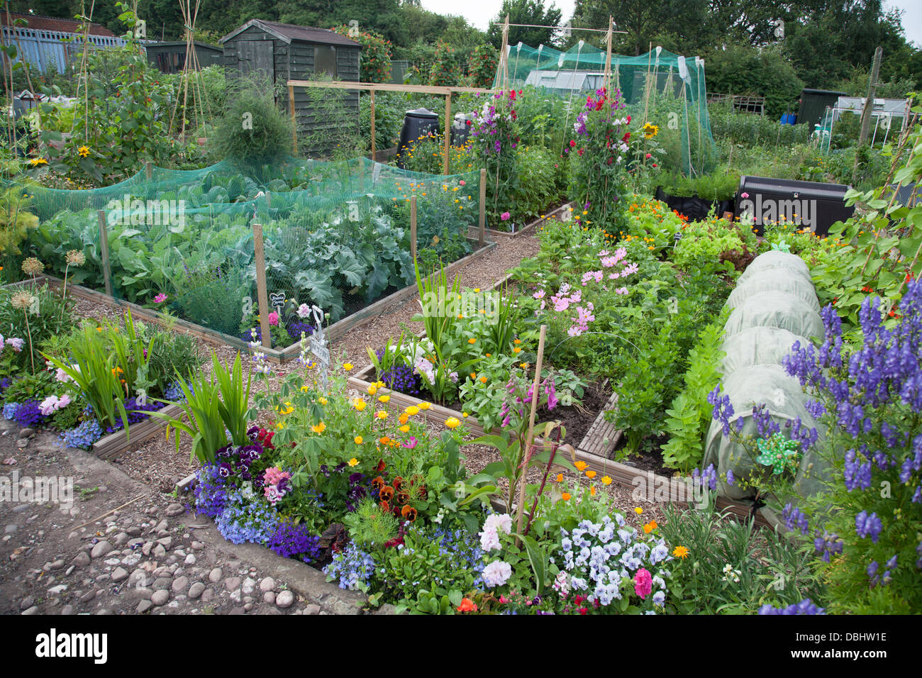 Urban allotment plot with flowers and vegetables Stock Photo - Alamy
