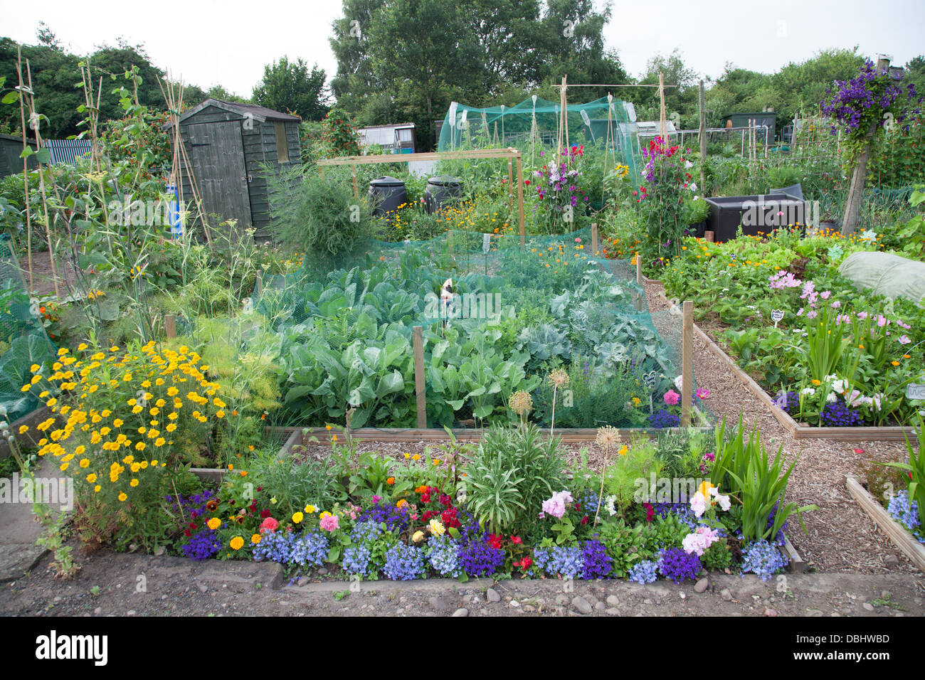 Urban allotment plot with flowers and vegetables Stock Photo - Alamy