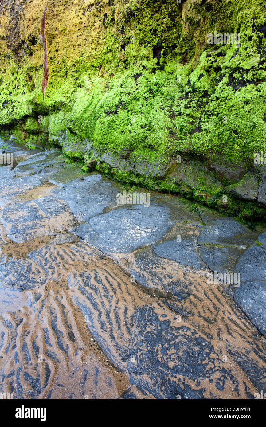 Redcar rocks hi-res stock photography and images - Alamy