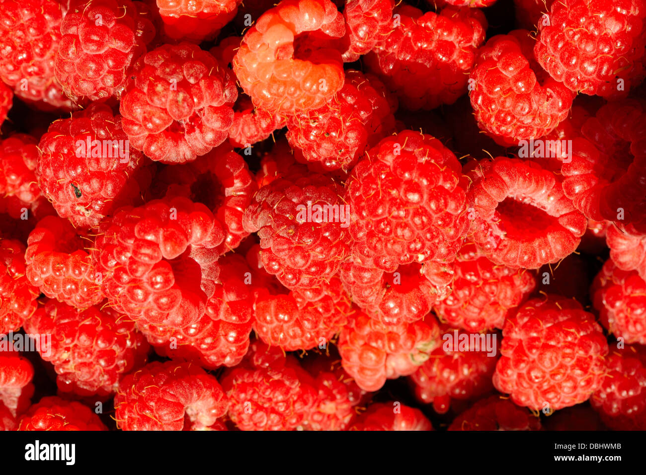 Red crop hi-res stock photography and images - Alamy