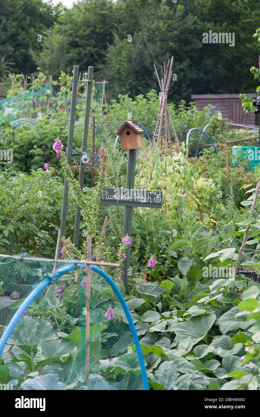 Allotment sign allotments hi-res stock photography and images - Alamy