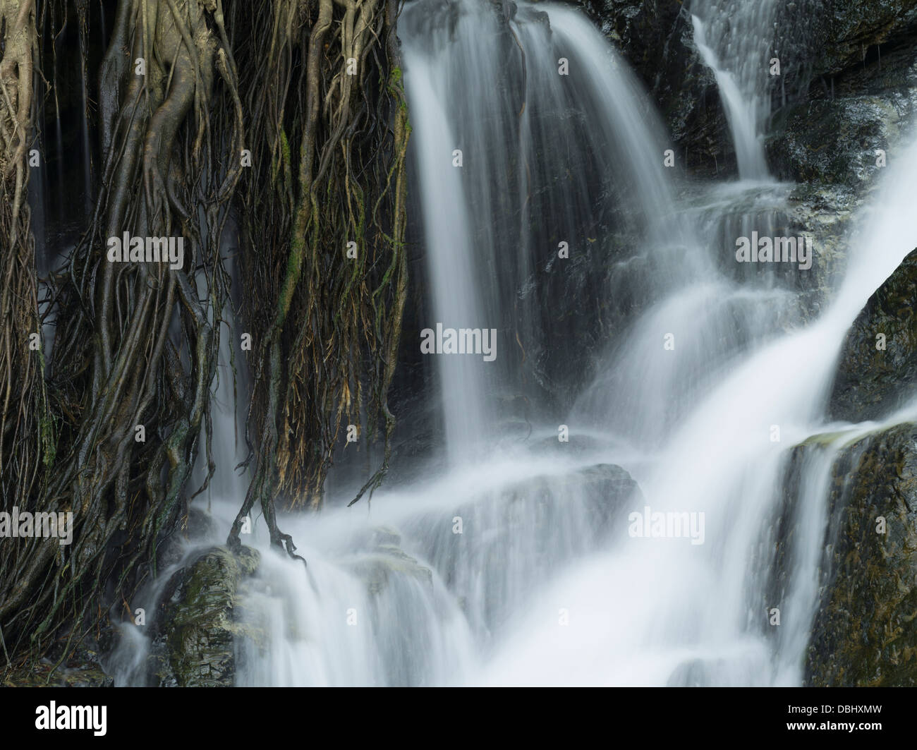 Small waterfall in northern Okinawa, Japan Stock Photo - Alamy