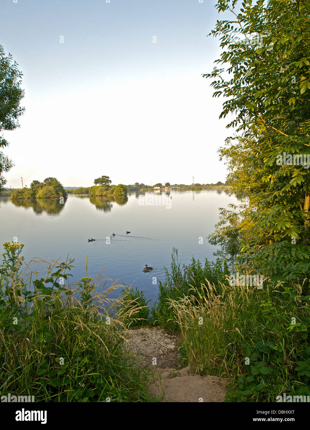 early morning lake scene Stock Photo - Alamy