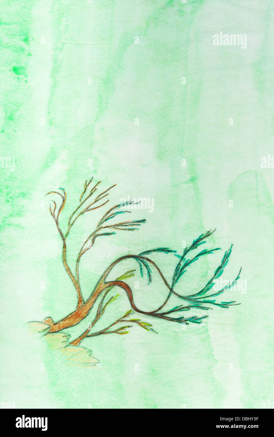green bush on cliff drawn on green tracing paper Stock Photo - Alamy