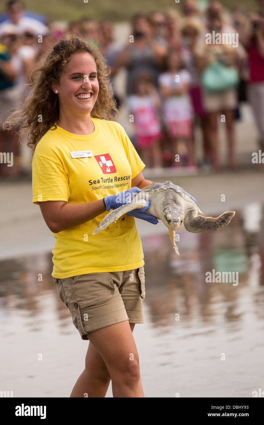 A marine biologist from the South Carolina Aquarium Turtle Rescue ...