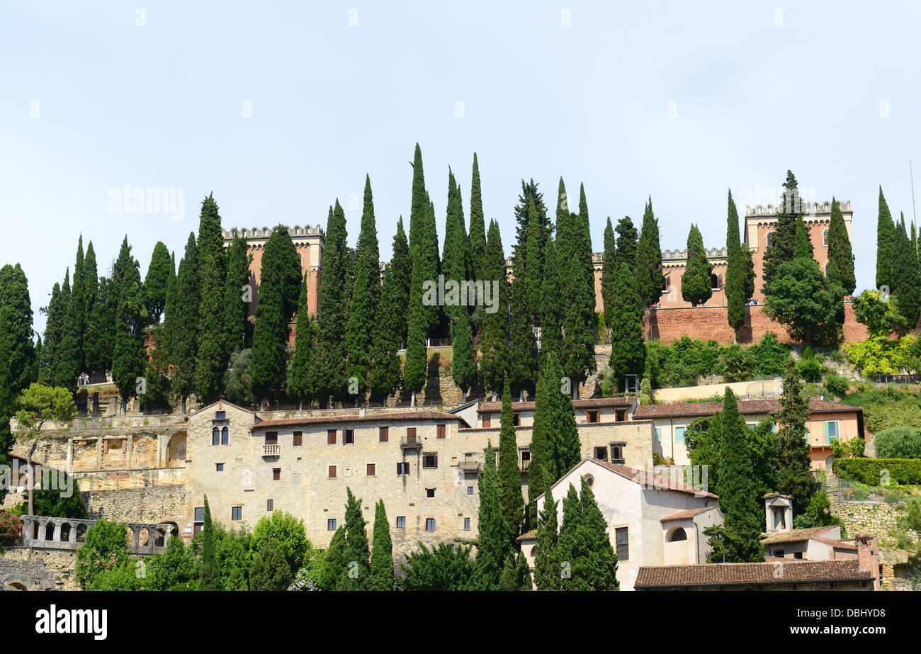 Italian cypress tree hi-res stock photography and images - Alamy