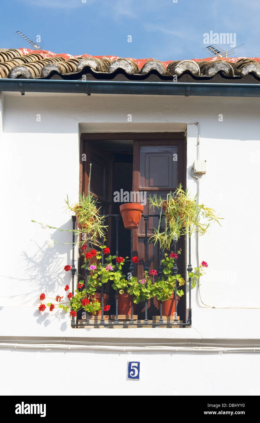 Windowboxes flower display hi-res stock photography and images - Alamy