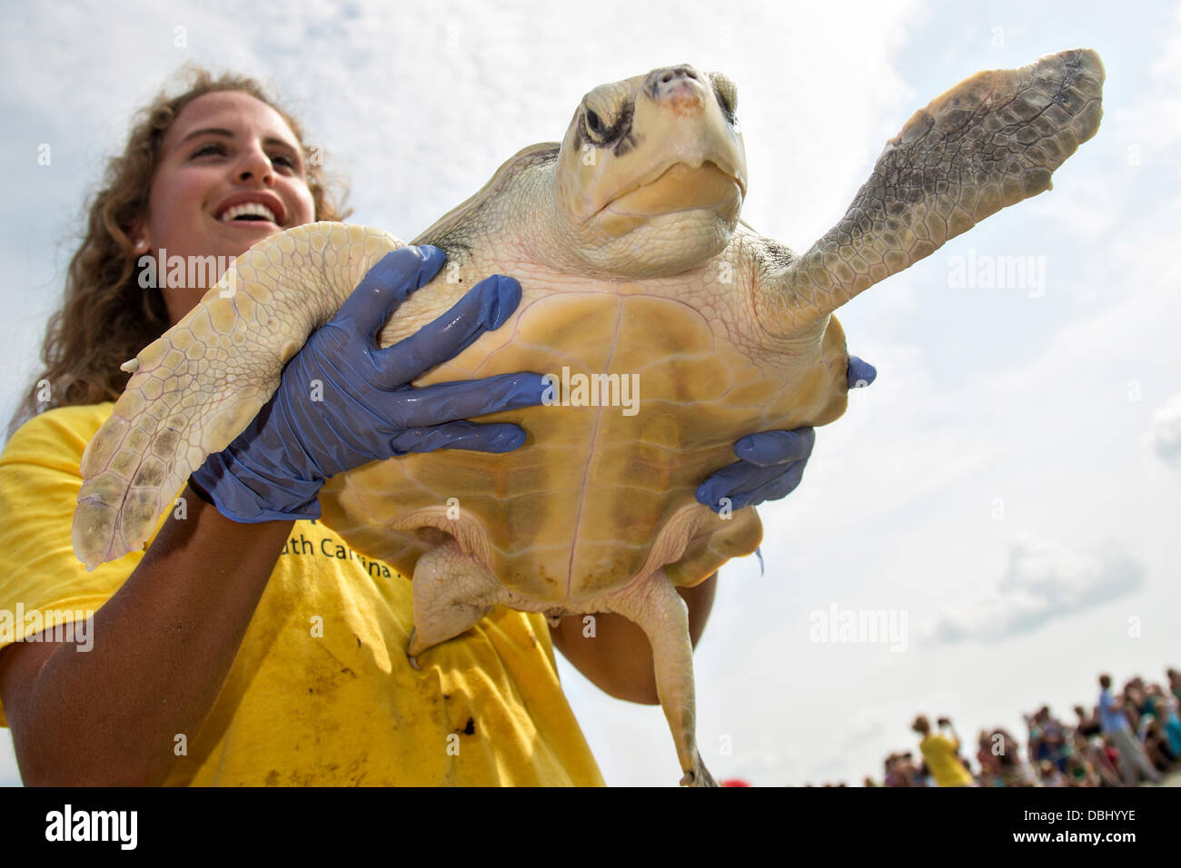 A marine biologist from the South Carolina Aquarium Turtle Rescue ...