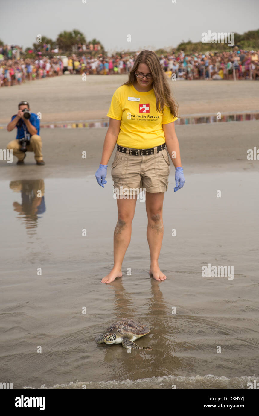 A marine biologist from the South Carolina Aquarium Turtle Rescue ...