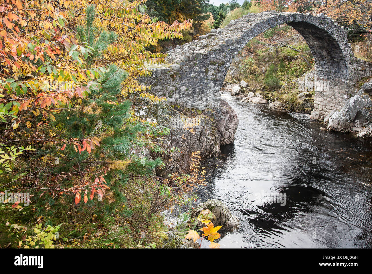 Old Packhorse bridge at Carrbridge in Scotland Stock Photo - Alamy