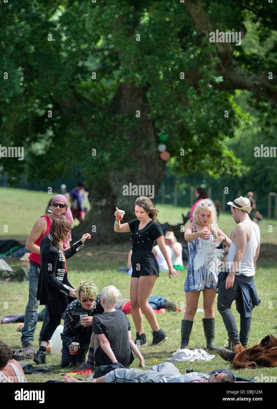 Glastonbury Festival 2013 UK Revellers relaxing near the stone circle ...