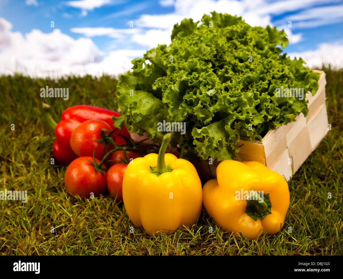 Figure vegetable hi-res stock photography and images - Alamy