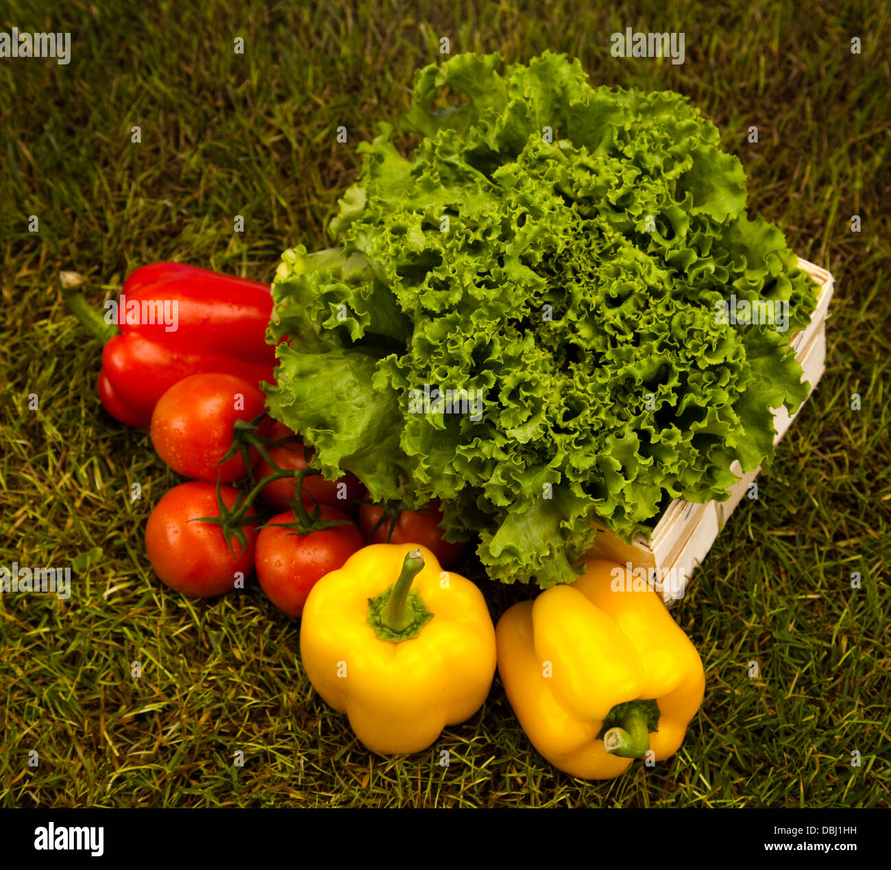 Fruit and vegetable figure hi-res stock photography and images - Alamy