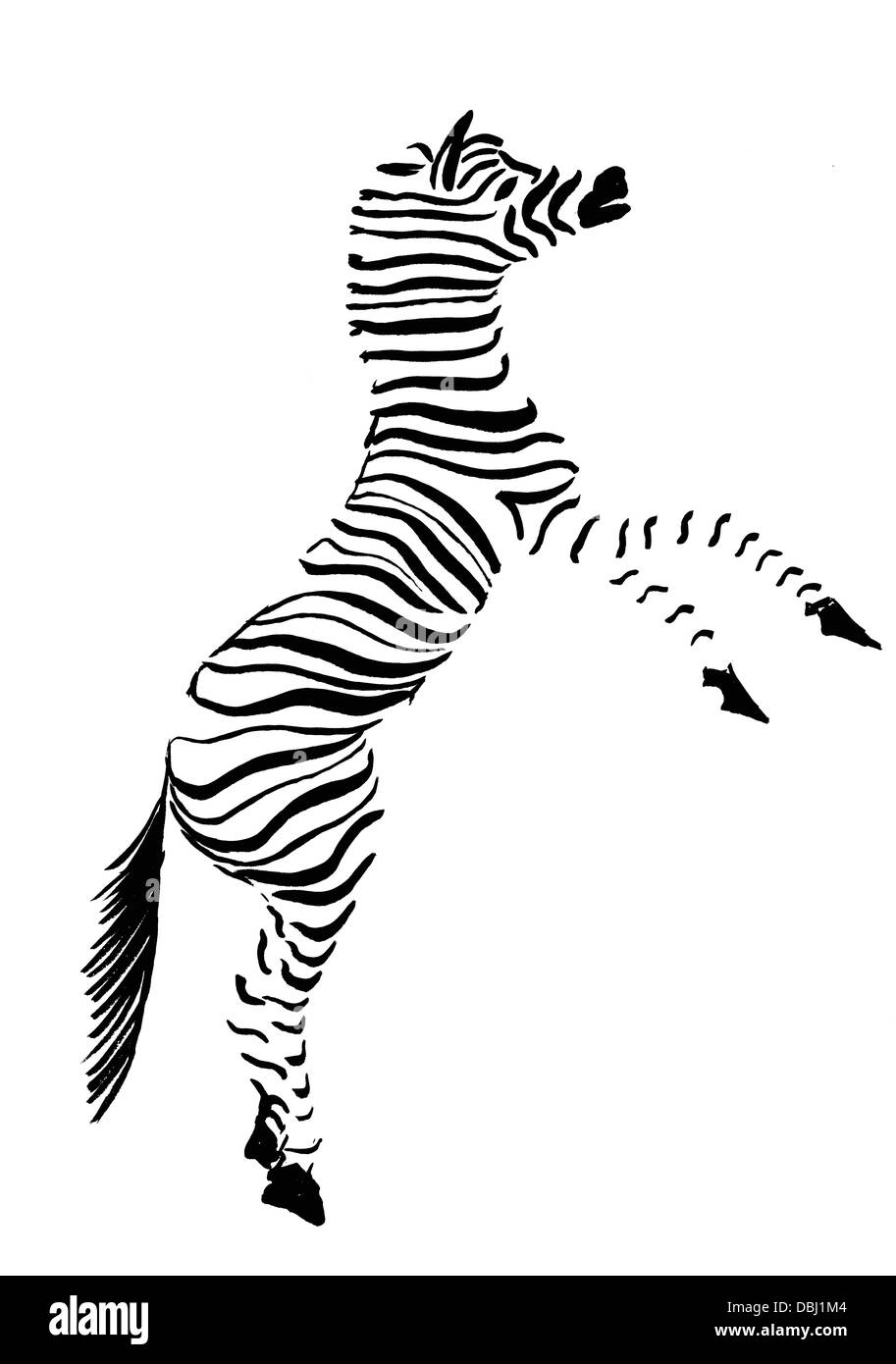 black and white zebra reared up Stock Photo - Alamy