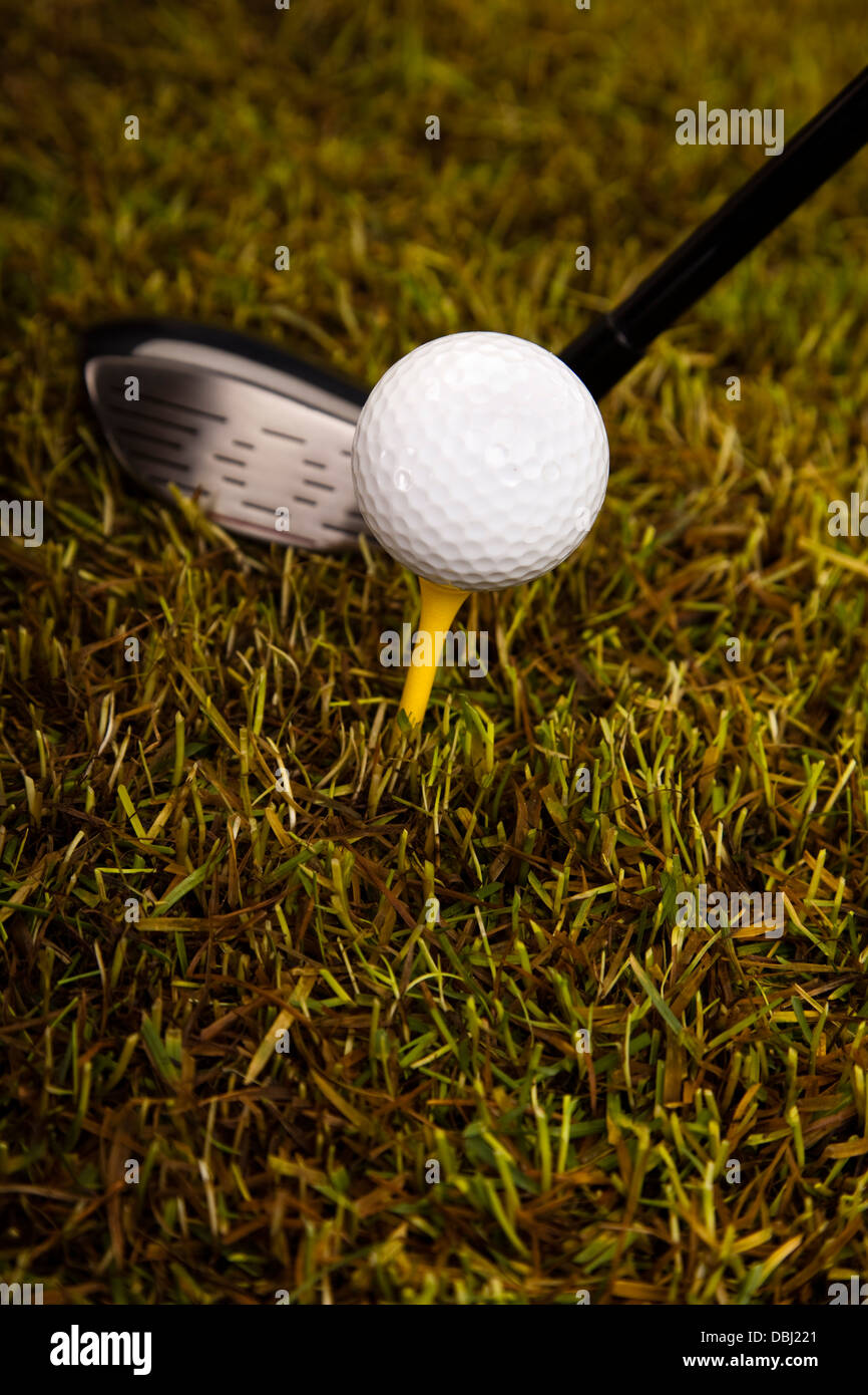 Golf club and ball in grass Stock Photo - Alamy