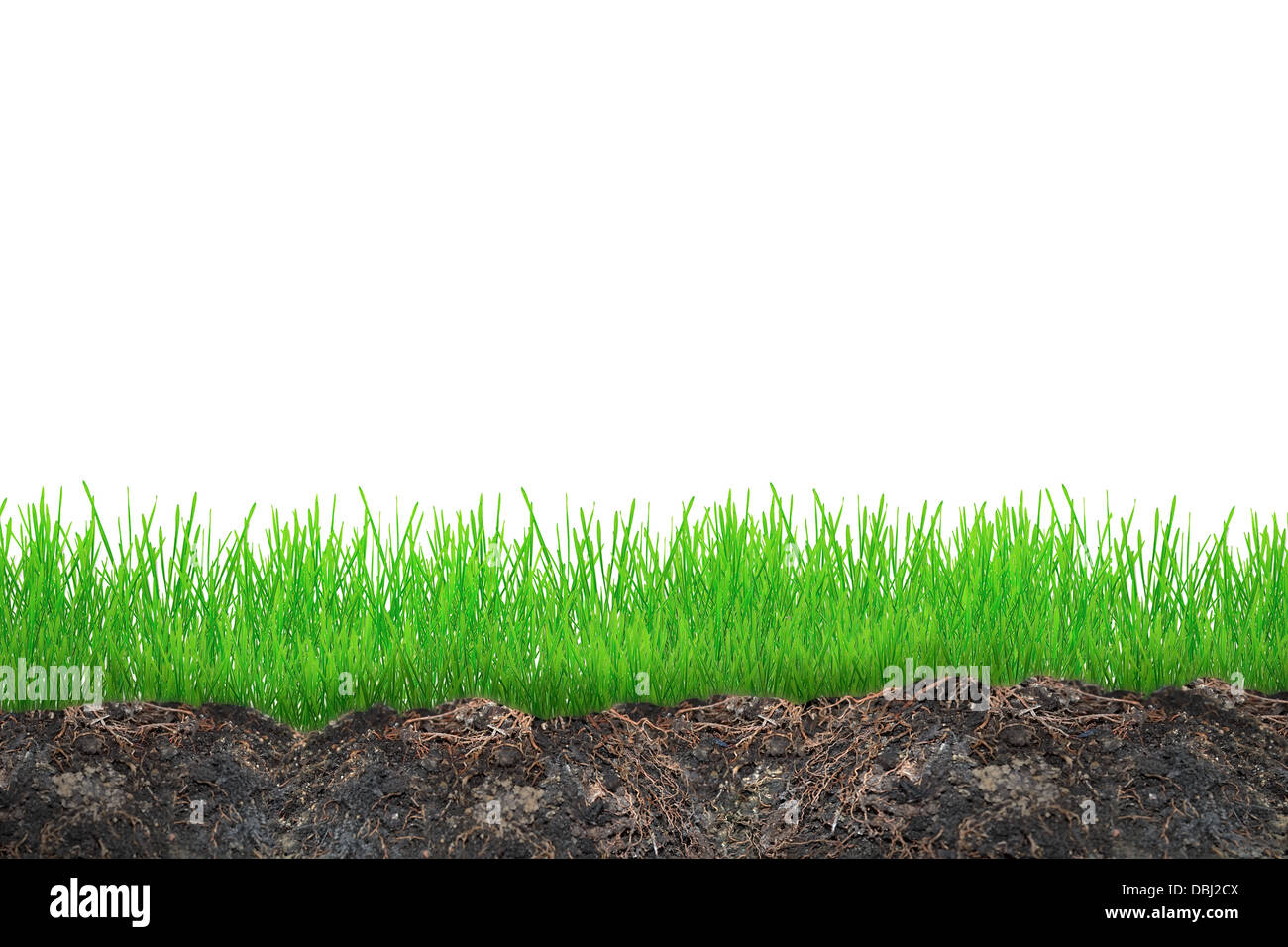 Side view grass with dirt below hi-res stock photography and images - Alamy
