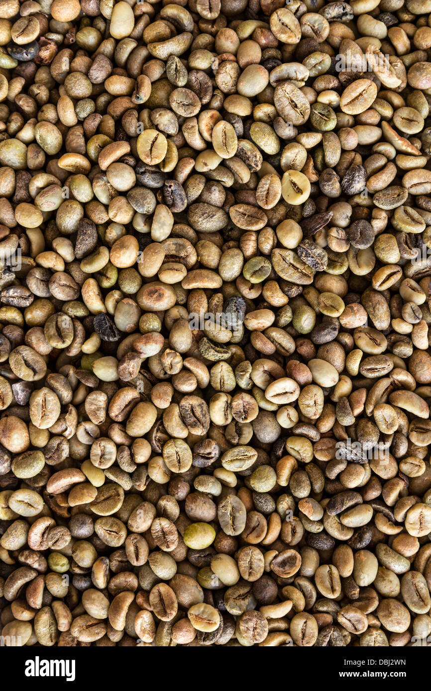 Coffee beans background at an angle with selective focus Stock Photo ...