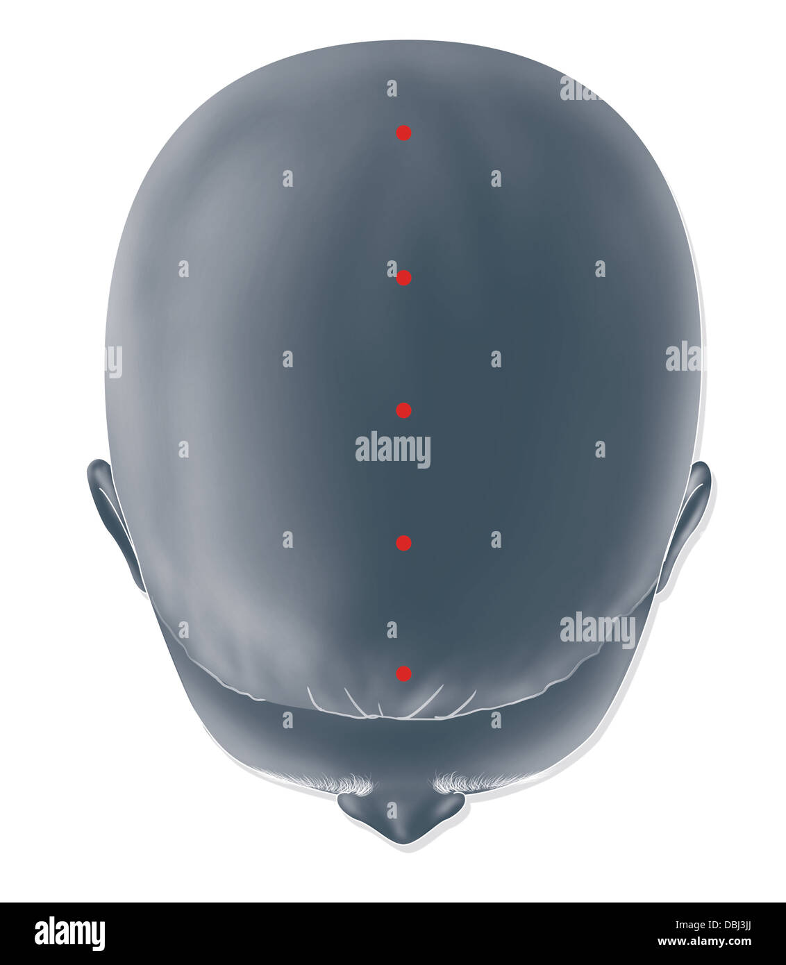 Acupuncture drawing hi-res stock photography and images - Alamy