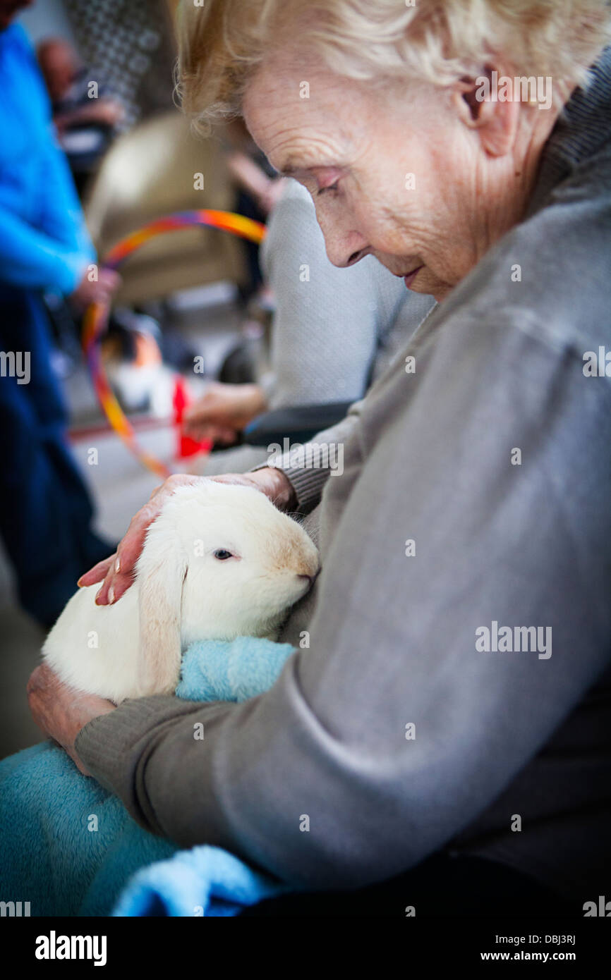 Zootherapy hi-res stock photography and images - Alamy