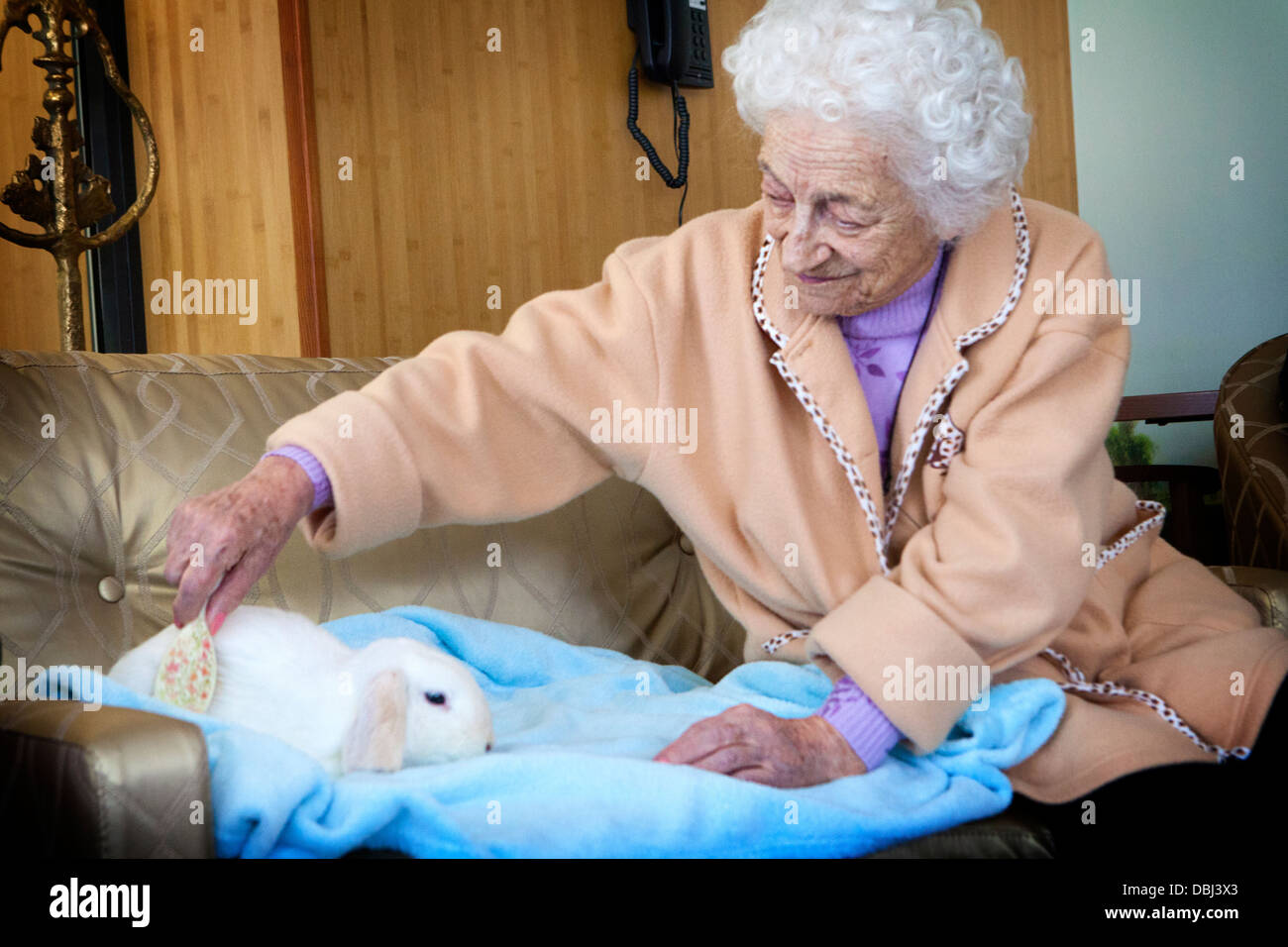 Therapy rabbit hi-res stock photography and images - Alamy