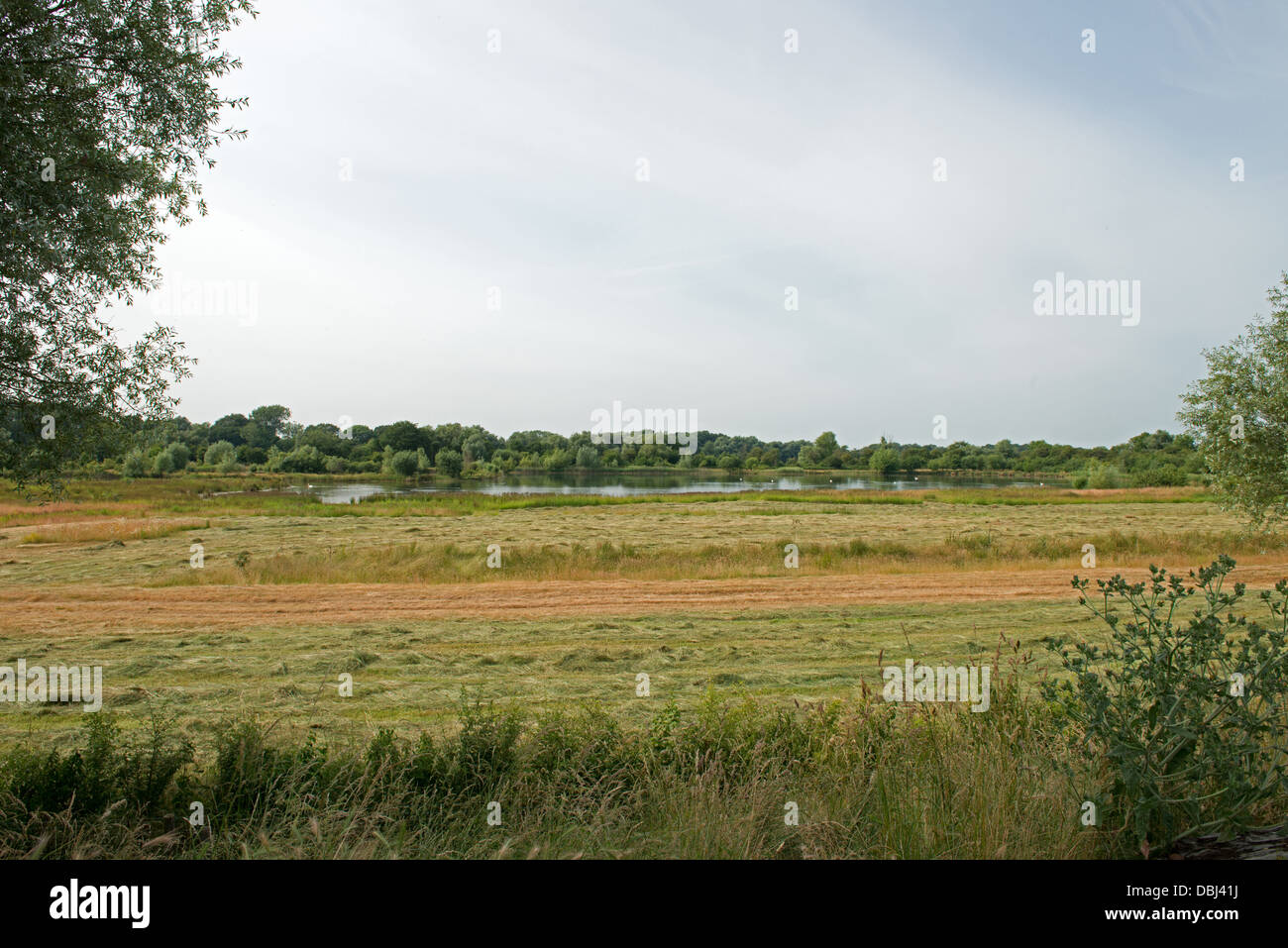 Deeping lakes nature reserve hi-res stock photography and images - Alamy