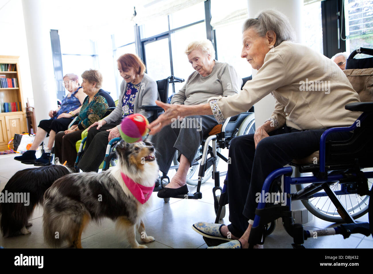 Zootherapy hi-res stock photography and images - Alamy