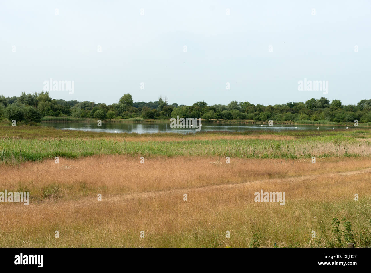 Deeping hi-res stock photography and images - Alamy