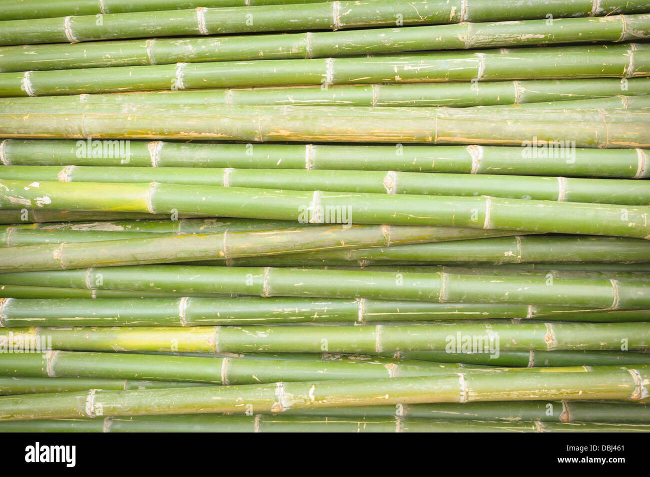 Abstract nature bamboo background Stock Photo - Alamy