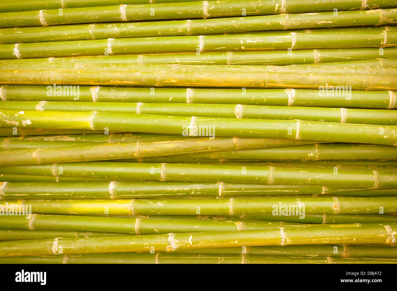 Nature bamboo hi-res stock photography and images - Alamy