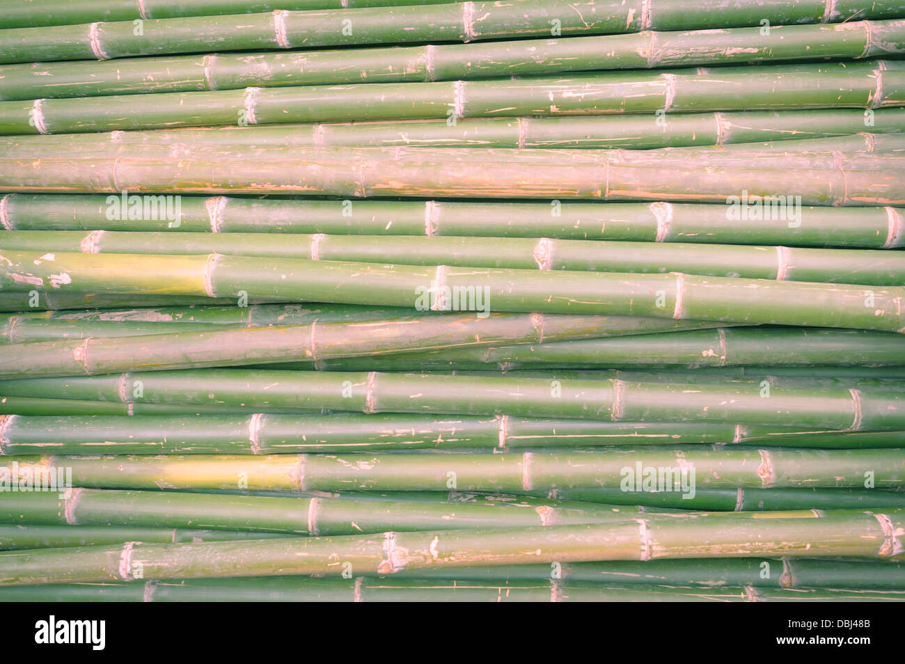 Abstract nature bamboo background Stock Photo - Alamy