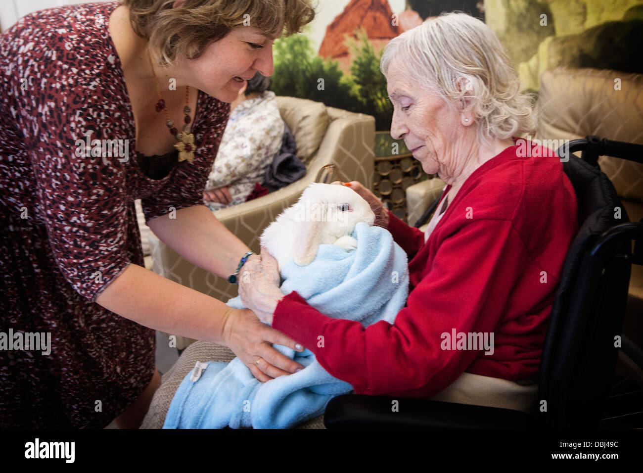 Therapy rabbit hi-res stock photography and images - Alamy