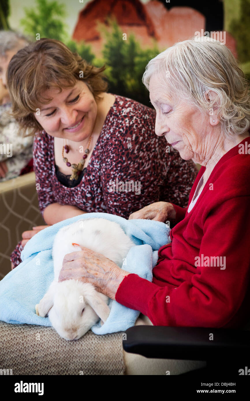 Zootherapy hi-res stock photography and images - Alamy