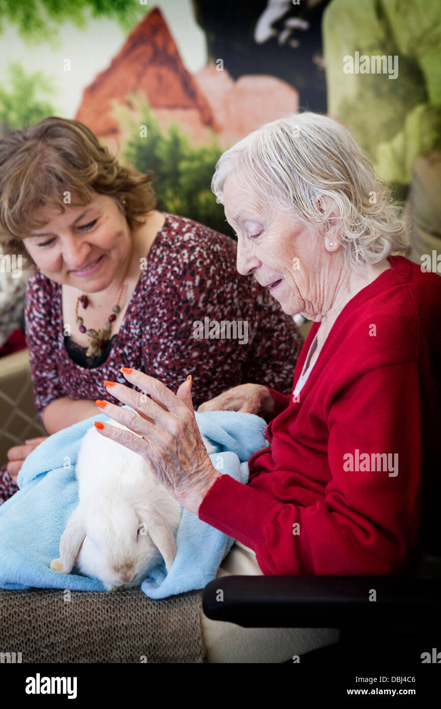Zootherapy hi-res stock photography and images - Alamy