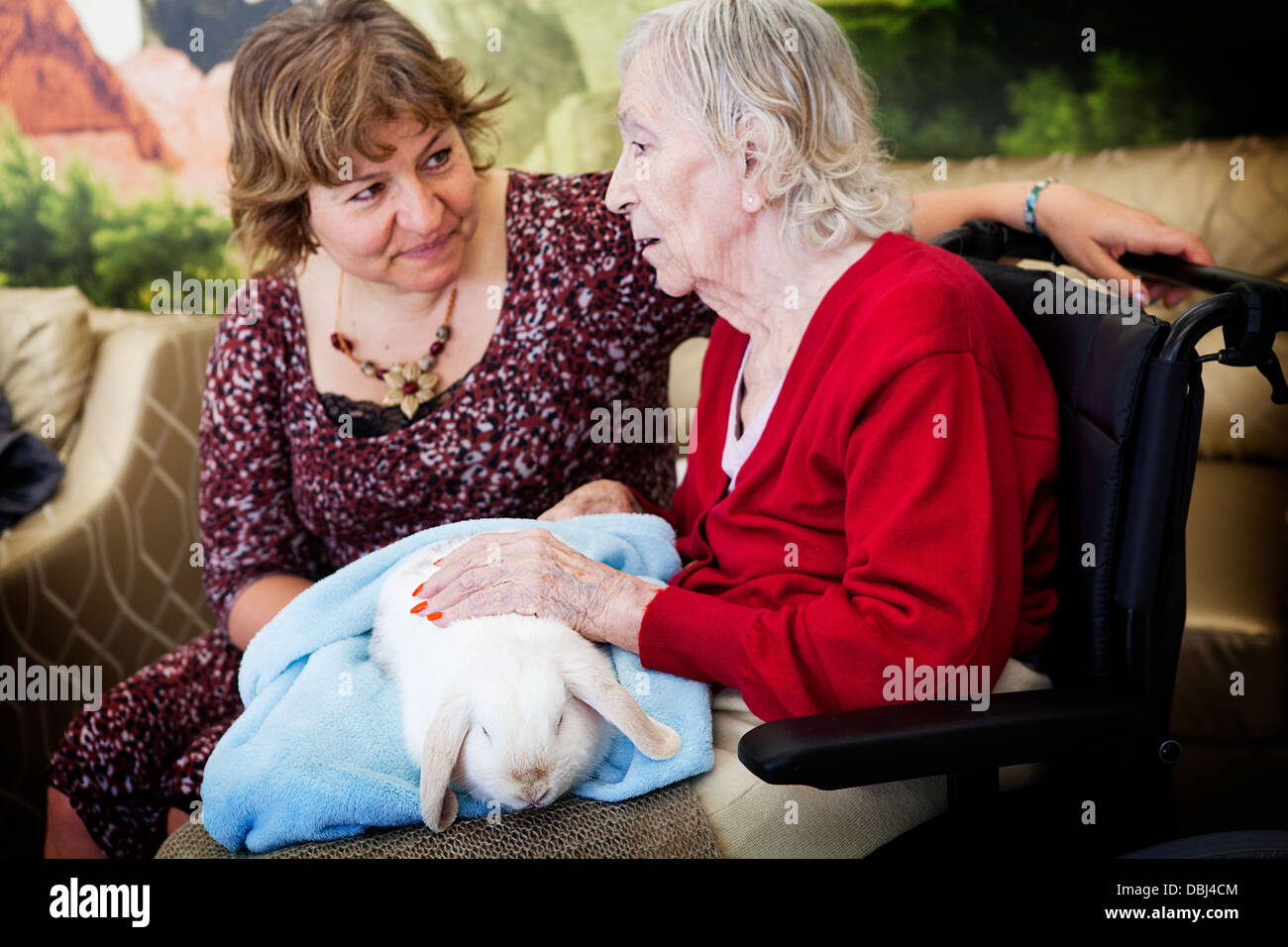 Zootherapy High Resolution Stock Photography and Images - Alamy