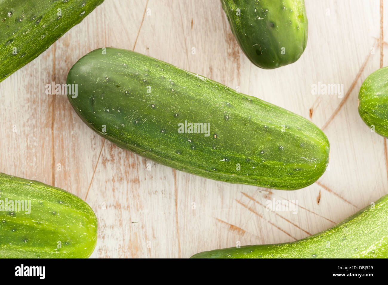 Organic Green Pickle Cucumbers used for Pickling Stock Photo - Alamy