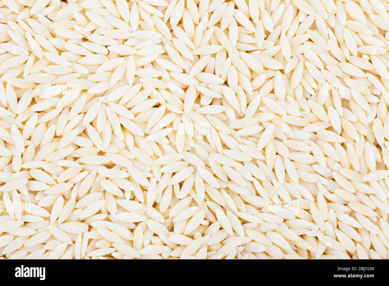 Fresh orzo pasta close-up for background or food texture Stock Photo ...