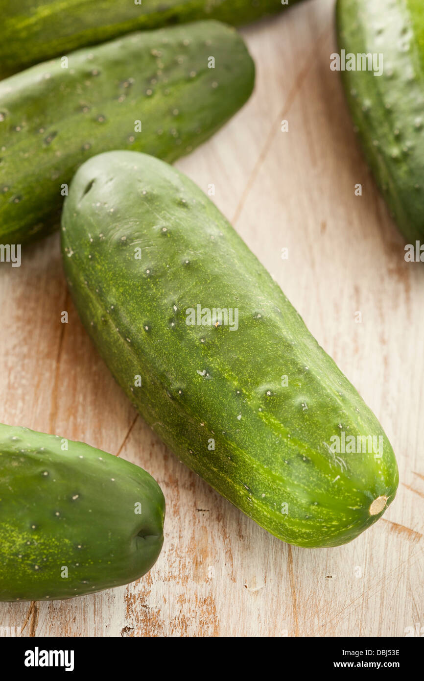 Organic Green Pickle Cucumbers used for Pickling Stock Photo - Alamy