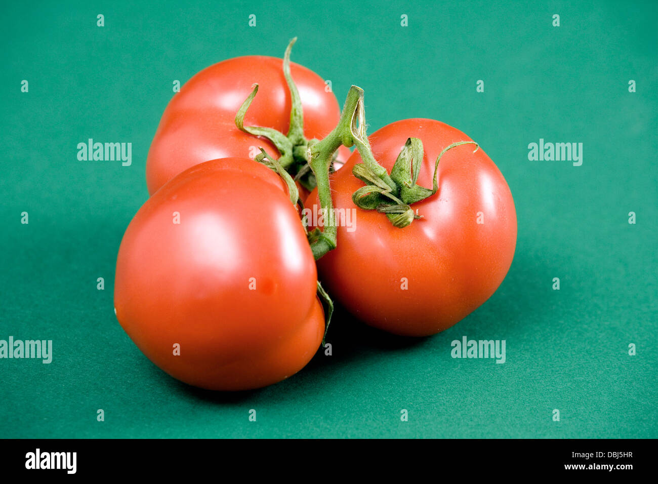 Tomatoes on the vine, green background Stock Photo - Alamy