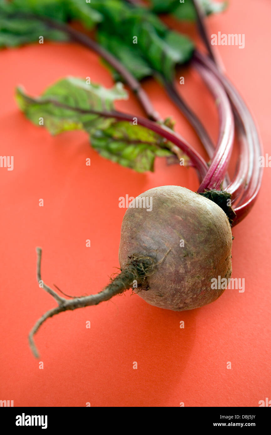 Beet bulb with greens Stock Photo - Alamy