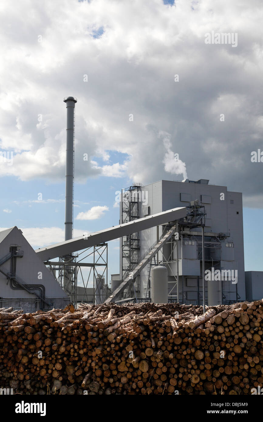 Biomass Fuelled Power Plant