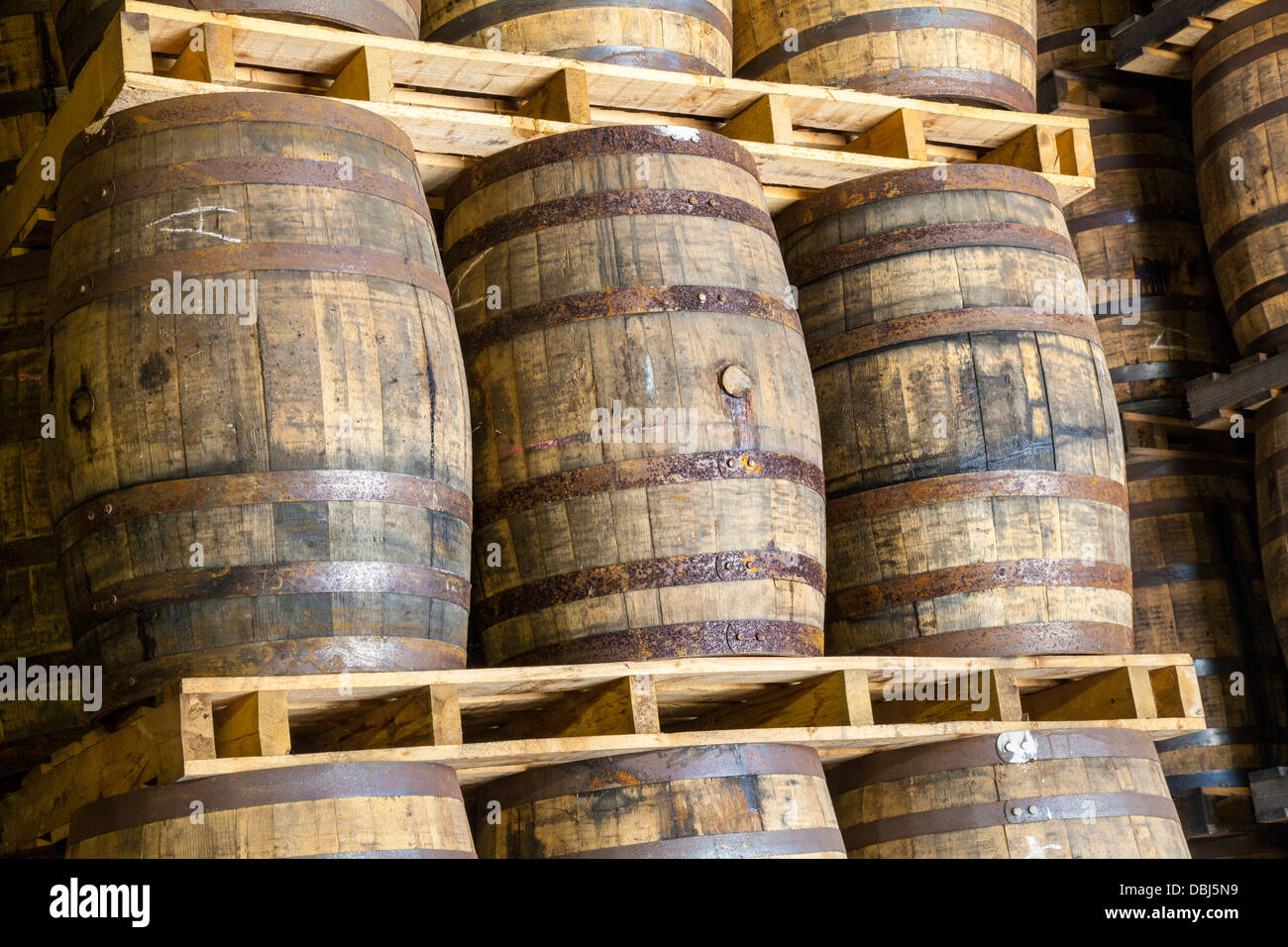 Glen Moray distillery Stacked racks of Scottish whisky barrels ...