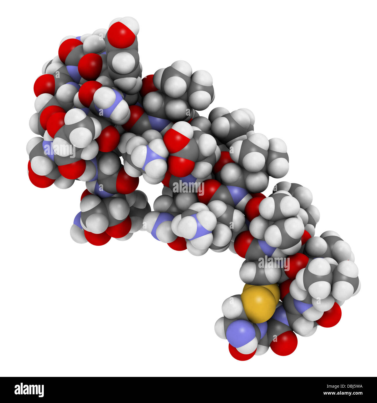 Salmon Calcitonin Peptide Hormone Drug Chemical Structure Used In Treatment Of Postmenopausal