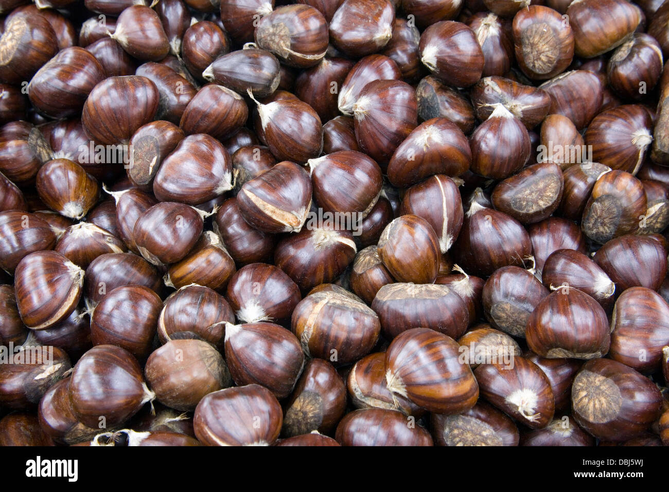 The nuts challenge hi-res stock photography and images - Alamy