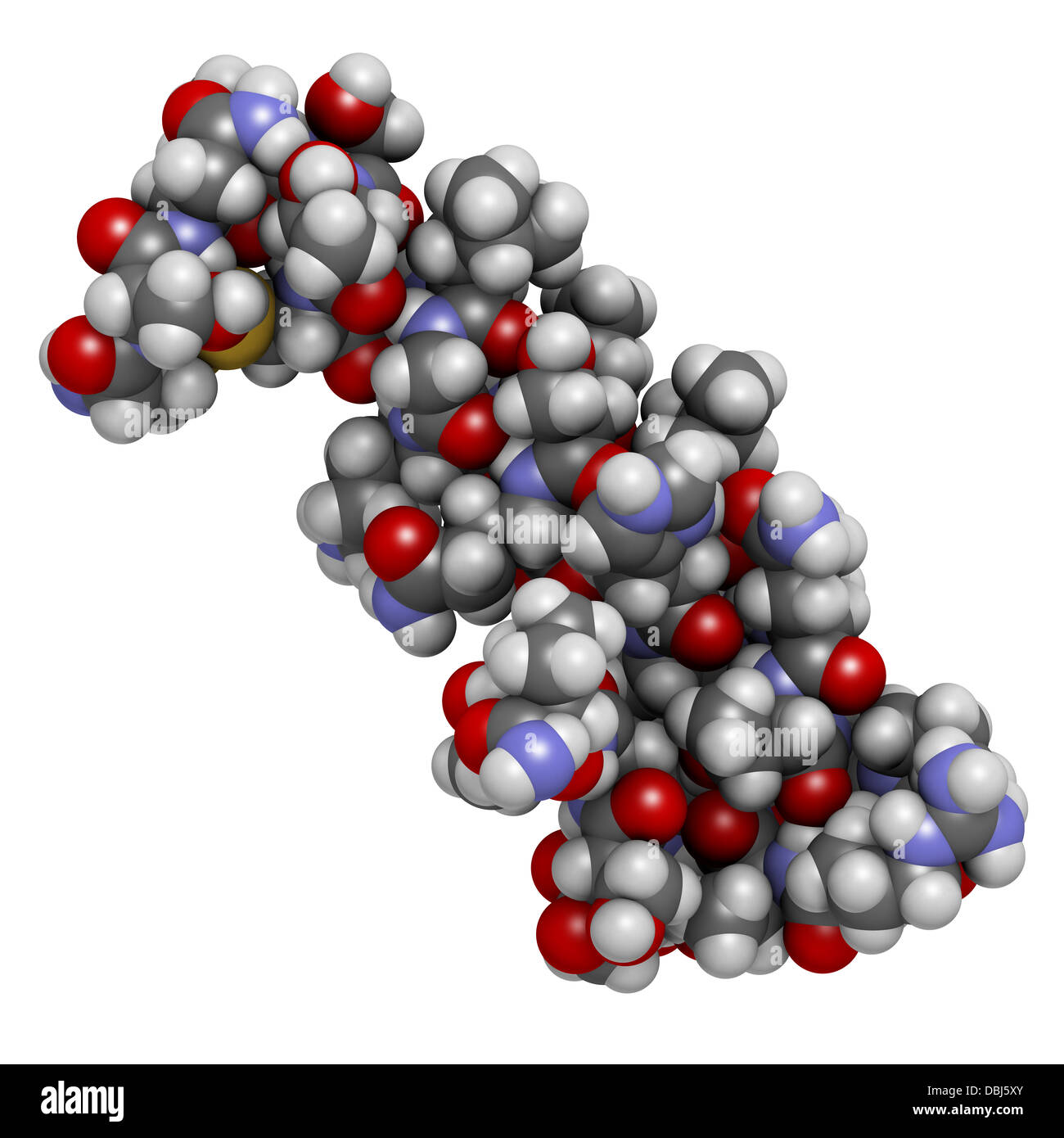 Salmon Calcitonin Peptide Hormone Drug Chemical Structure Used In Treatment Of Postmenopausal