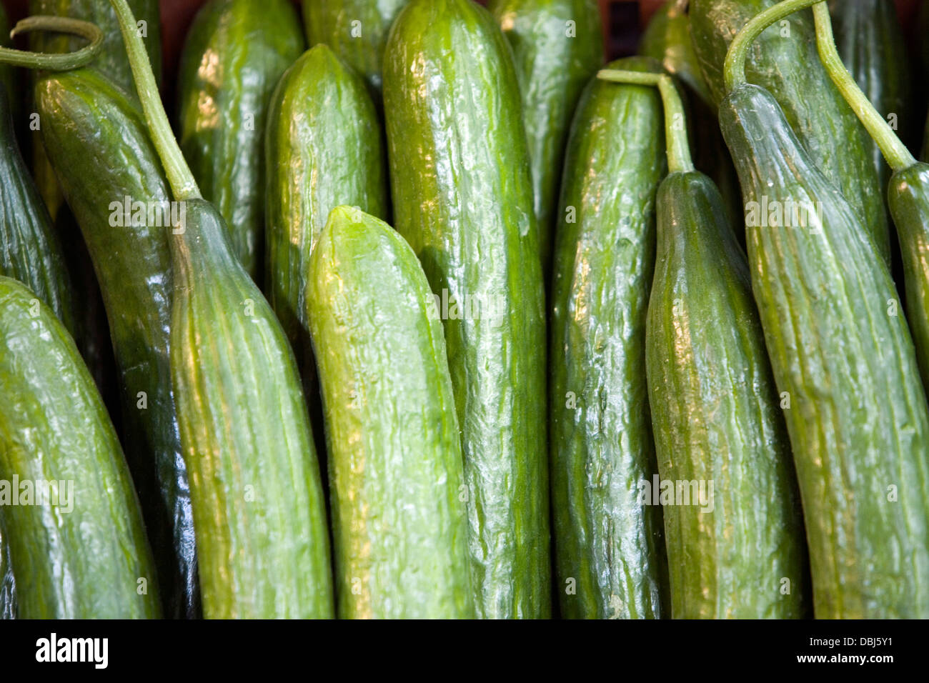 Still life with cucumbers hi-res stock photography and images - Alamy