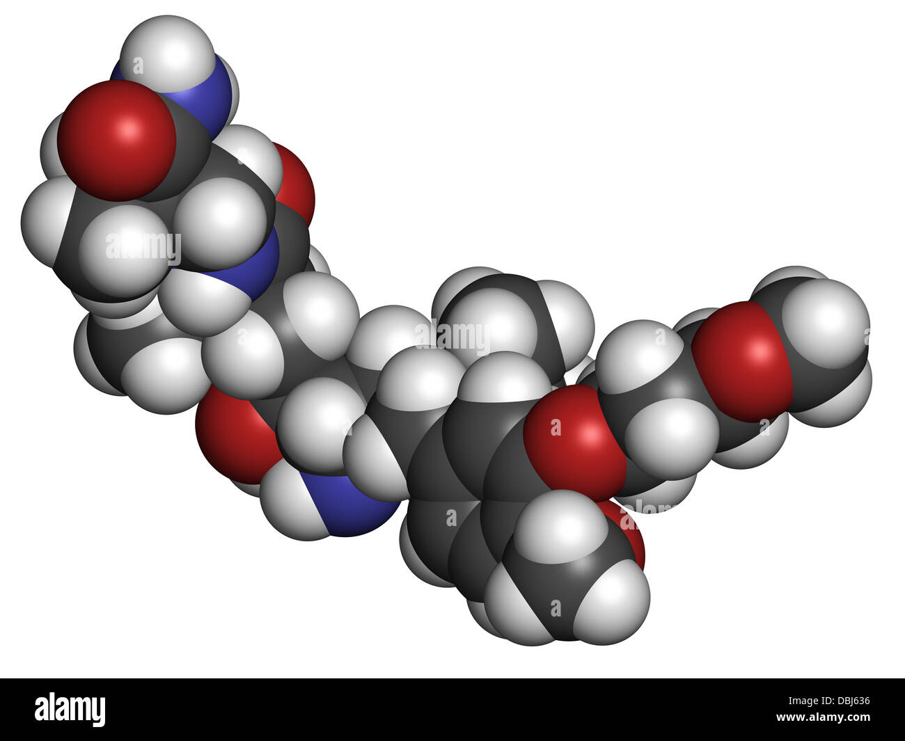 Aliskiren hypertension or high blood pressure drug (renin inhibitor ...