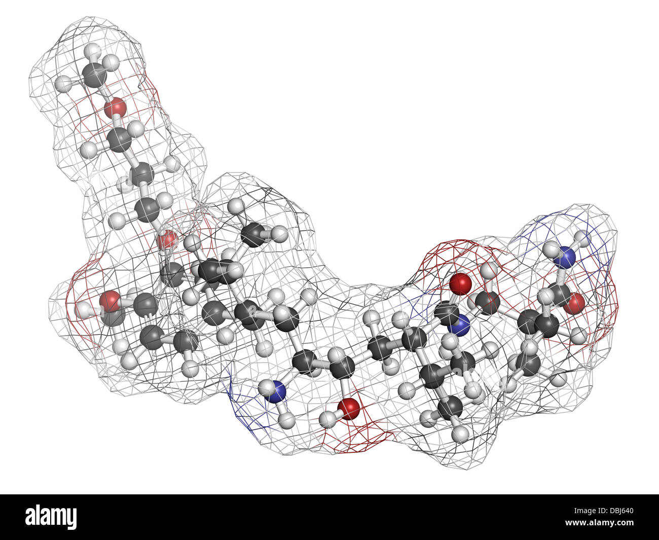 Aliskiren hypertension or high blood pressure drug (renin inhibitor ...