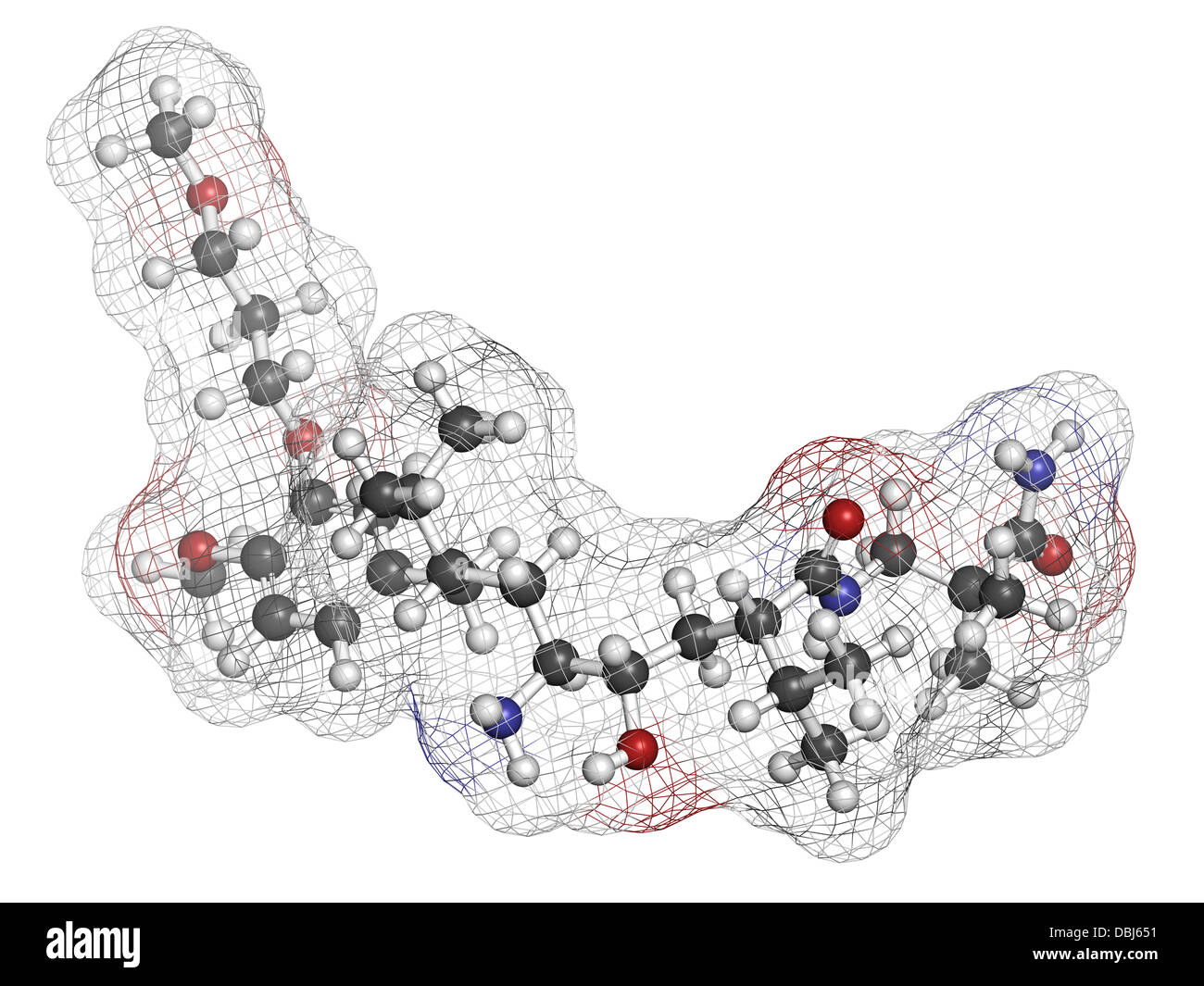 Aliskiren hypertension or high blood pressure drug (renin inhibitor ...