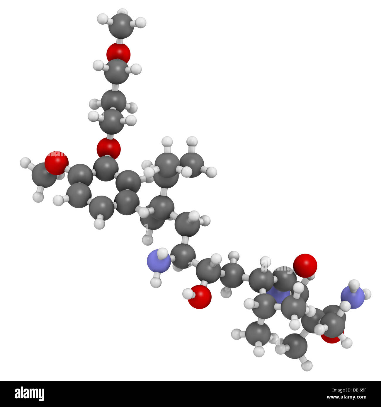 Renin molecule High Resolution Stock Photography and Images - Alamy
